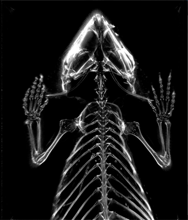 Completion of Acquisition of Adaptix Ltd - Avingtrans PLC